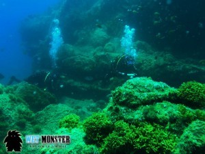 nurkowanie na teneryfie Las Eras Teneryfa - WET MONSTER - DIVE CENTER ...