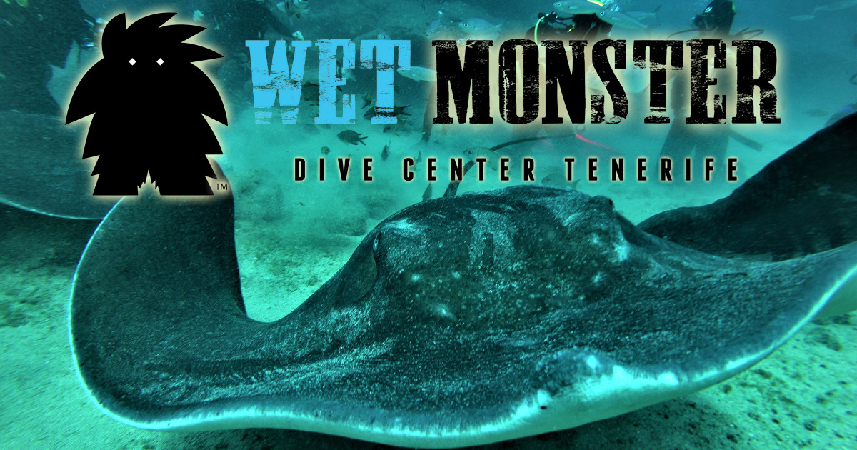 ADVANCED DIVE COURSES - WET MONSTER - DIVE CENTER TENERIFE